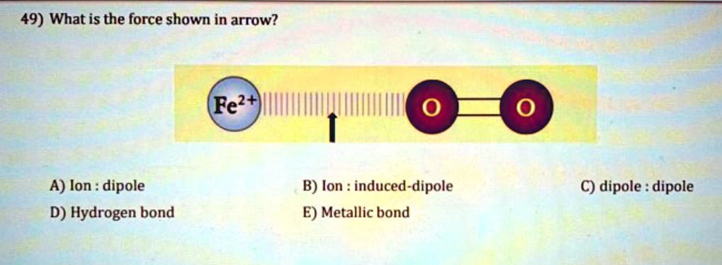 SOLVED: 49) What is the force shown in arrow? Fe2+) A) Ion dipole D ...