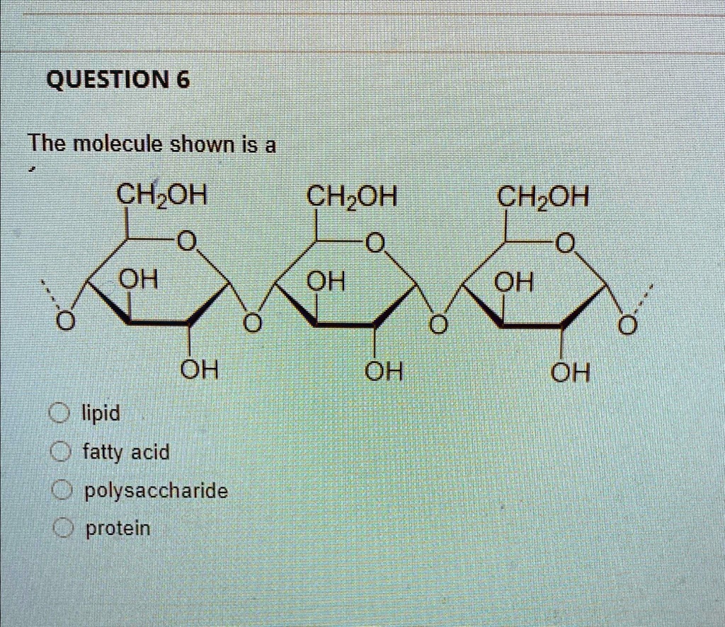 question 6 the molecule shown is a lipid fatty acid polysaccharide ...