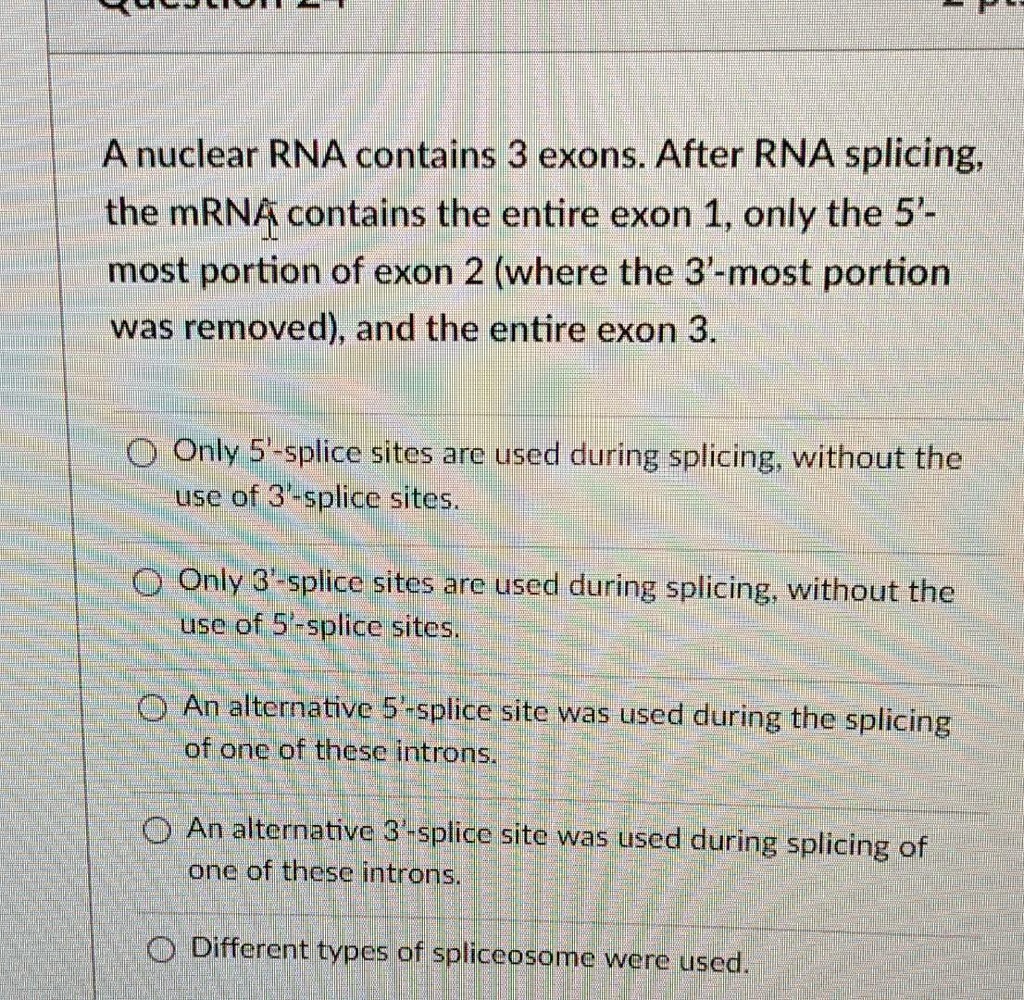 SOLVED:A nuclear RNA contains 3 exons. After RNA splicing; the mRNA ...