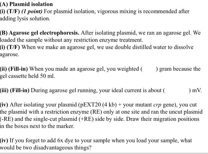 (A) Plasmid isolation (i) (T/F) (1 point) For plasmid isolation ...