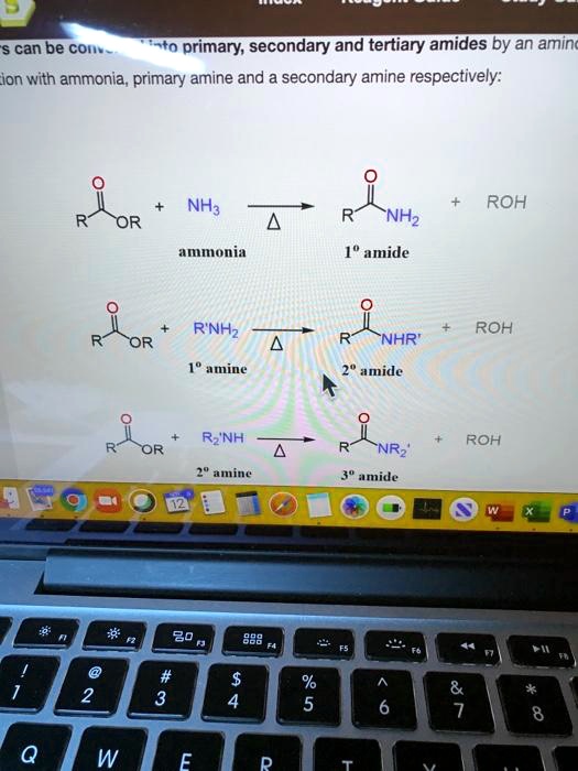 SOLVED: can be converted to primary, secondary, and tertiary amides by ...