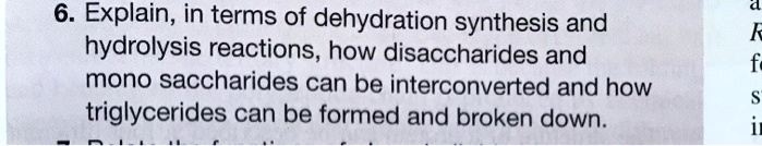 SOLVED: 6. Explain, in terms of dehydration synthesis and hydrolysis ...