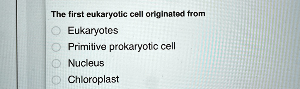 the first eukaryotic cell originated from eukaryotes primitive ...