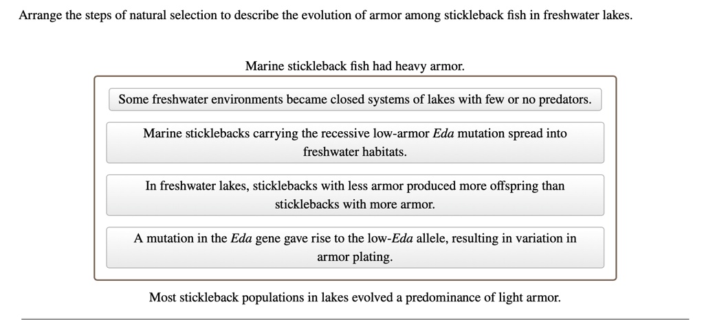 SOLVED: Arrange the steps of natural selection to describe the ...