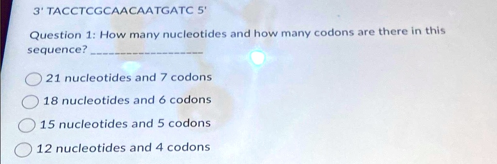 3' TACCTCGCAACAATGATC 5' Question 1: How many nucleotides and how many codons are there in this ...