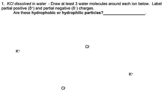 kci dissolved in water draw at least water molecules around each ion ...