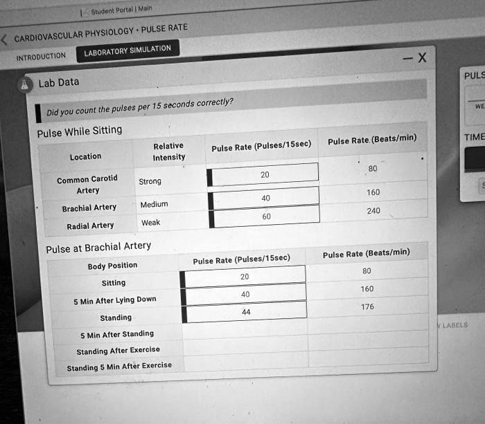 student portal main cardiovascular physiology pulse rate introduction ...