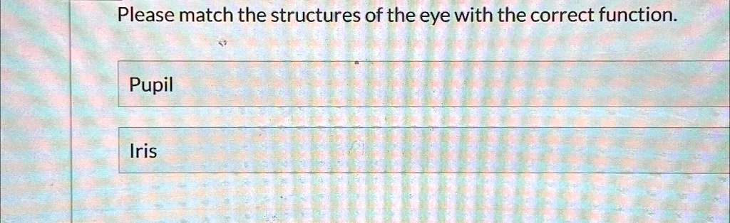 Please match the structures of the eye with the correct function. Pupil ...