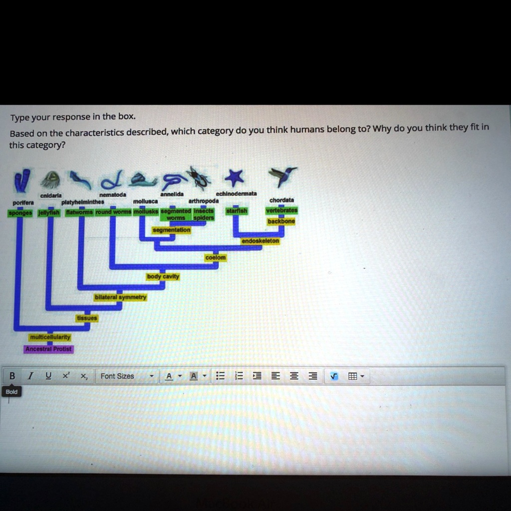 Type your response in the box. Based on the characteristics described ...