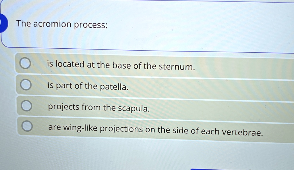 The acromion process: is located at the base of the sternum. is part of ...