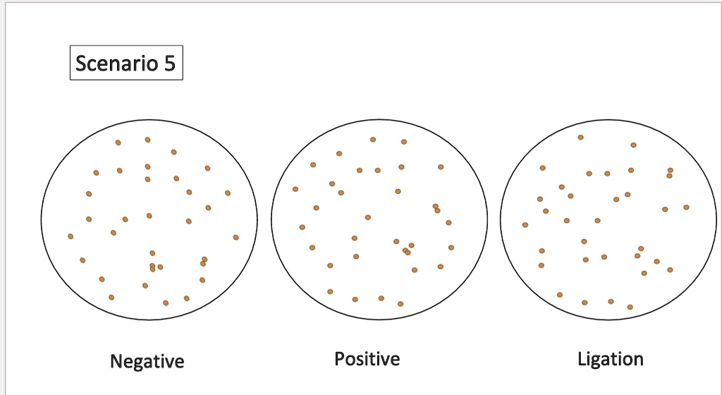 SOLVED: Scenario 5 Negative Positive Ligation SOLVED: Scenario 5 Negative Positive Ligation