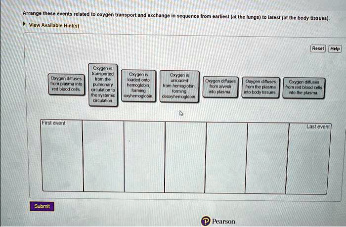 Arrange these events related to oxygen transport and exchange in sequence from earliest (at the ...