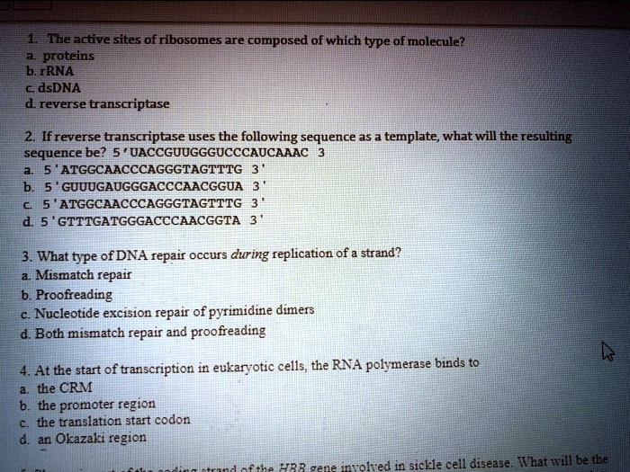 SOLVED: Theactive sites of ribosomes are composed of which type of ...