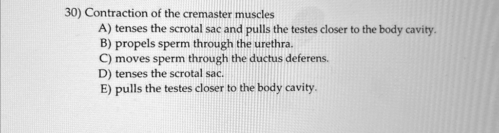 [GET ANSWER] 30) Contraction of the cremaster muscles A) tenses the ...