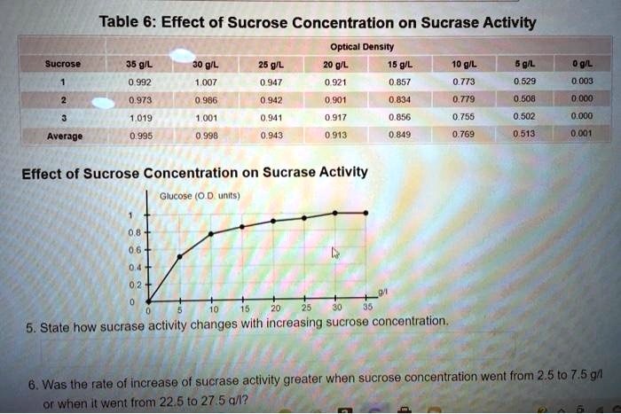 SOLVED: Table 6: Effect of Sucrose Concentration on Sucrase Activity ...