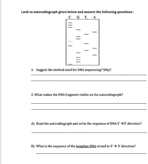 SOLVED: Look to autoradiograph given below and answcr the following ...