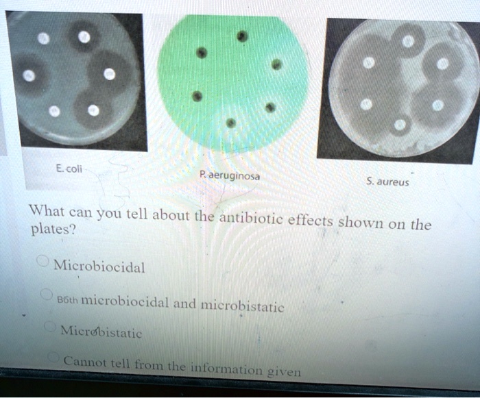 SOLVED: E. coli P. aeruginosa S. aureus What can you tell about the ...