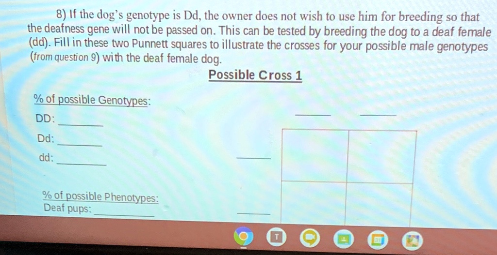 8) If the dog's genotype is Dd, the owner does not wish to use him for ...
