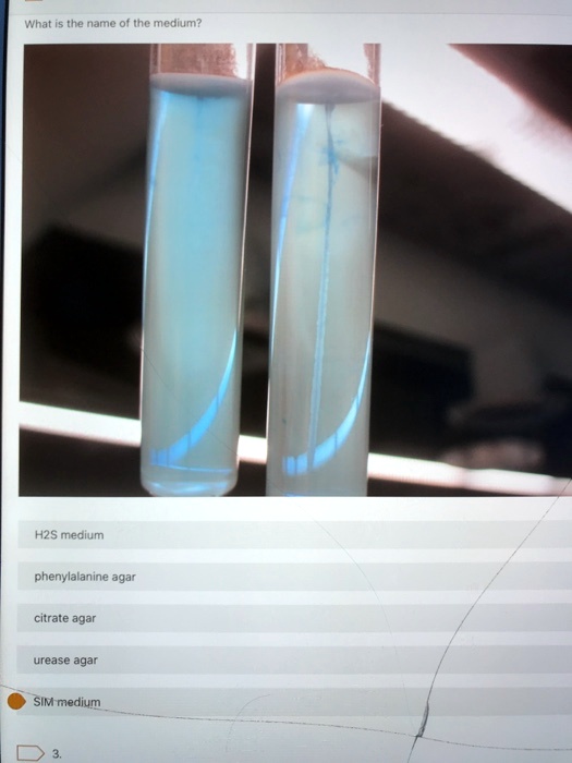 SOLVED: What the namc the medium? H2S medium phenylalanine agar citrate ...