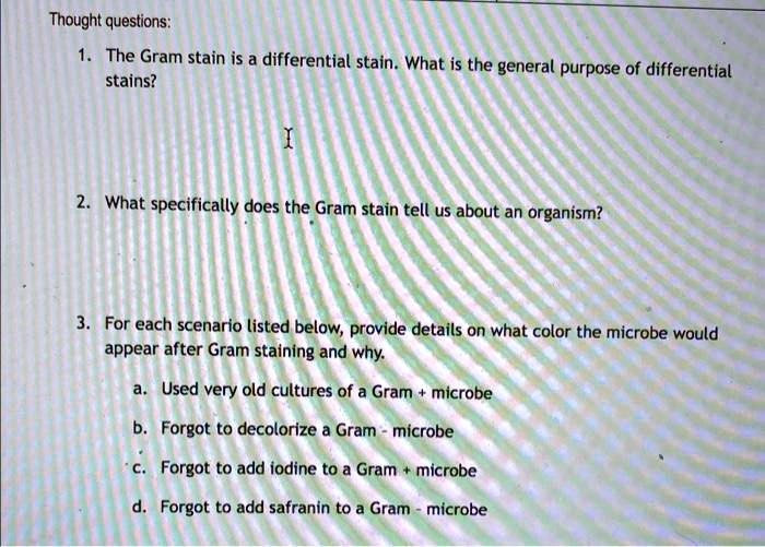 Thought questions: 1. The Gram stain is a differential stain. What is ...
