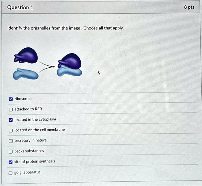 SOLVED: Question 1 8pts Identify the organelles from the image Choose ... SOLVED: Question 1 8pts Identify the organelles from the image Choose ...