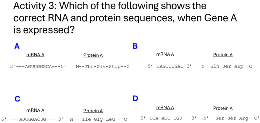 SOLVED: Activity 3: Which of the following shows the correct RNA and ...