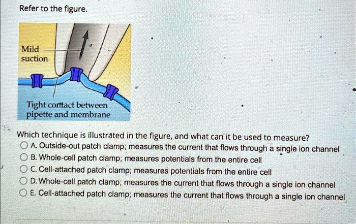 Refer to the figure. Mild suction Tight contact between pipette and ...