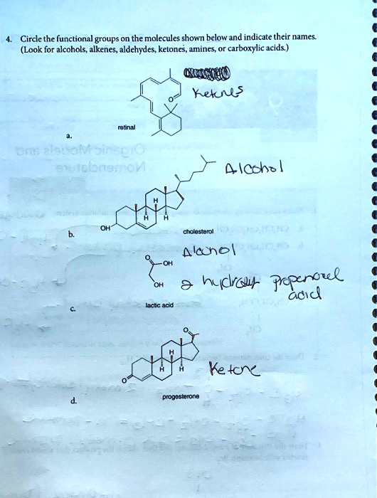 SOLVED: Circle the functional groups on the molecules shown below and ...