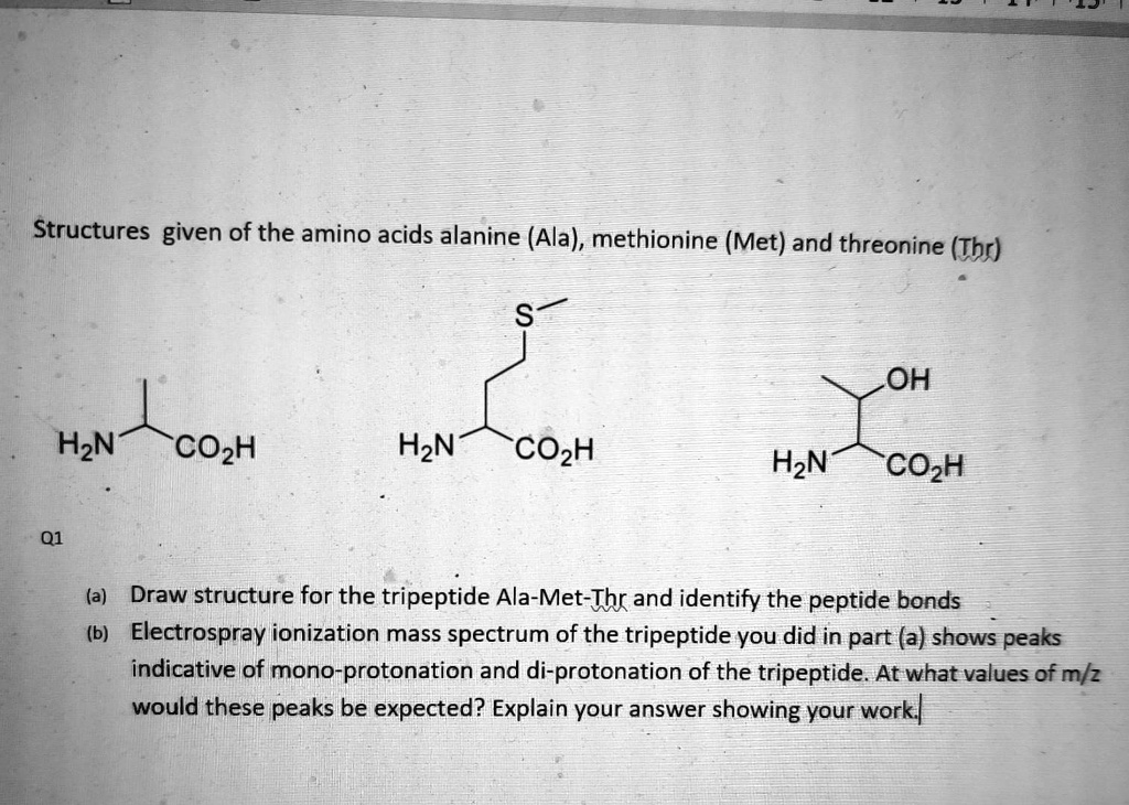 SOLVED: Text: Structures given of the amino acids alanine (Ala ...