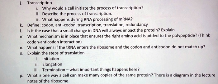 transcription why would cell initiate the process of transcription ...