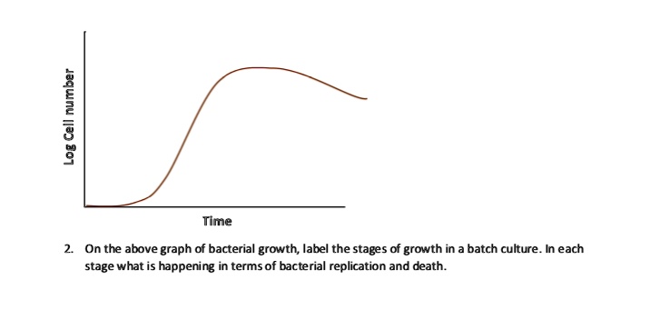 SOLVED: number 8 Log Time On the above graph of bacterial growth; labe ...