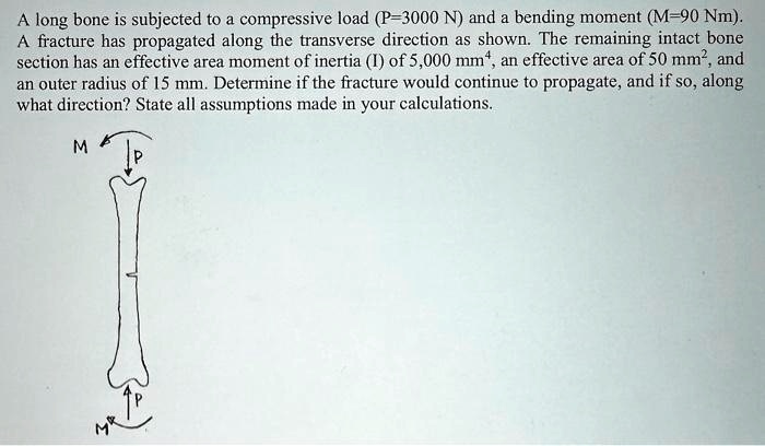 SOLVED: Assumption made in calculation A long bone is subjected to a ...