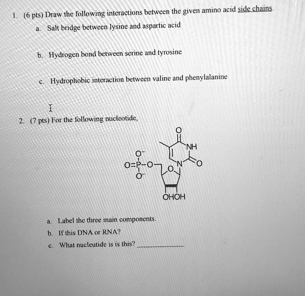 SOLVED: (6 pts) Draw the following interactions between the given amino ... SOLVED: (6 pts) Draw the following interactions between the given amino ...