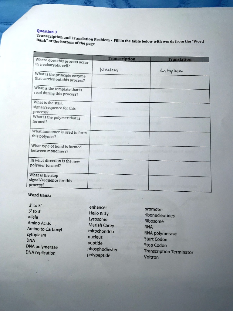 SOLVED:Question 3 Transcription Bank" and Translation Problem atthe ...