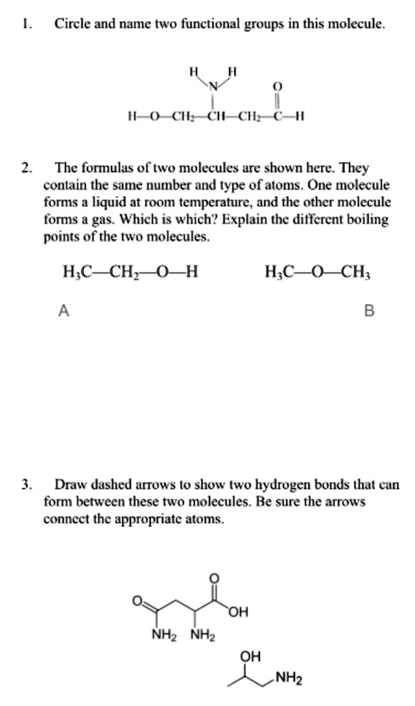 SOLVED: Circle and name two functional groups in this molecule: Il 0 Cl ... SOLVED: Circle and name two functional groups in this molecule: Il 0 Cl ...