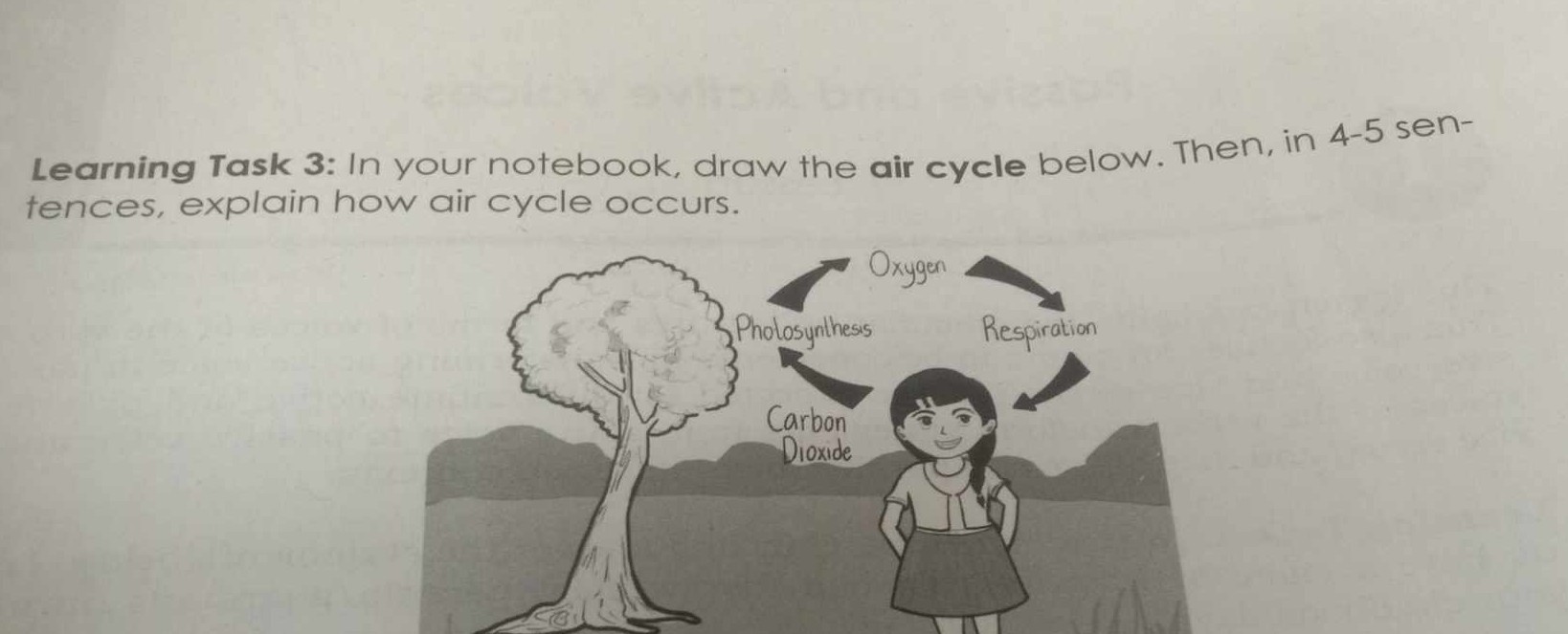 SOLVED: Learning Task 3: In your notebook, draw the air cycle below ... SOLVED: Learning Task 3: In your notebook, draw the air cycle below ...
