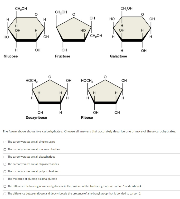 [GET ANSWER] CH2OH CH2OH CH2OH O H H OH H HO OH H OH HO O OH H HO OH H ...