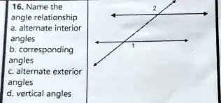 SOLVED: 16. Name the angle relationship alternate interior angles ...