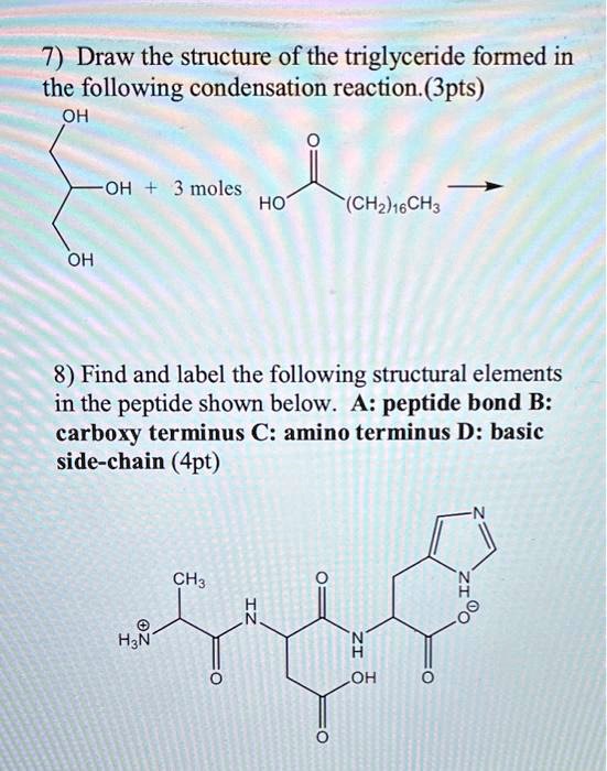 SOLVED: 7) Draw the structure of the triglyceride formed in the ...