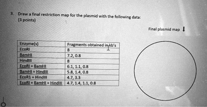 draw a final restriction map for the plasmid with the following data 3 points final plasmid map ...