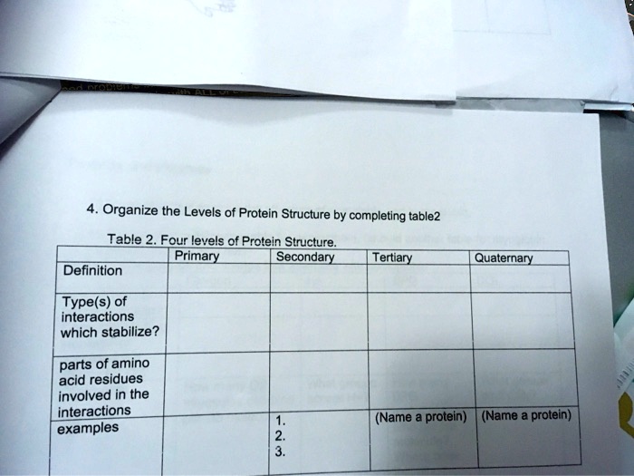 SOLVED: Organize the Levels of Protein Structure by completing table ...