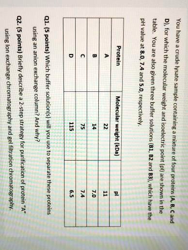 SOLVED: using 02 Q1. (5 points) Briefly using an points) Which describe anion exchange column ...