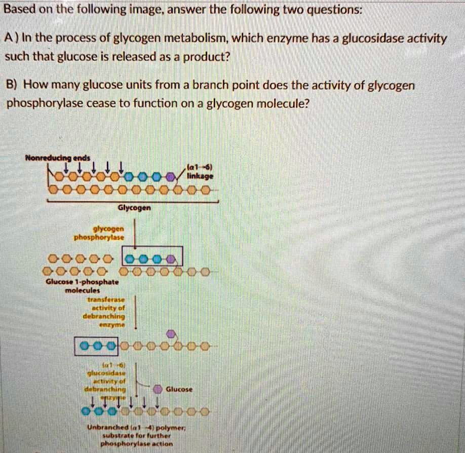 SOLVED: Based on the following image, answer the following two ...