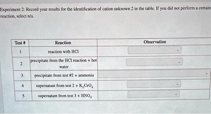 Experiment 2: Record your results for the identification of cation ...