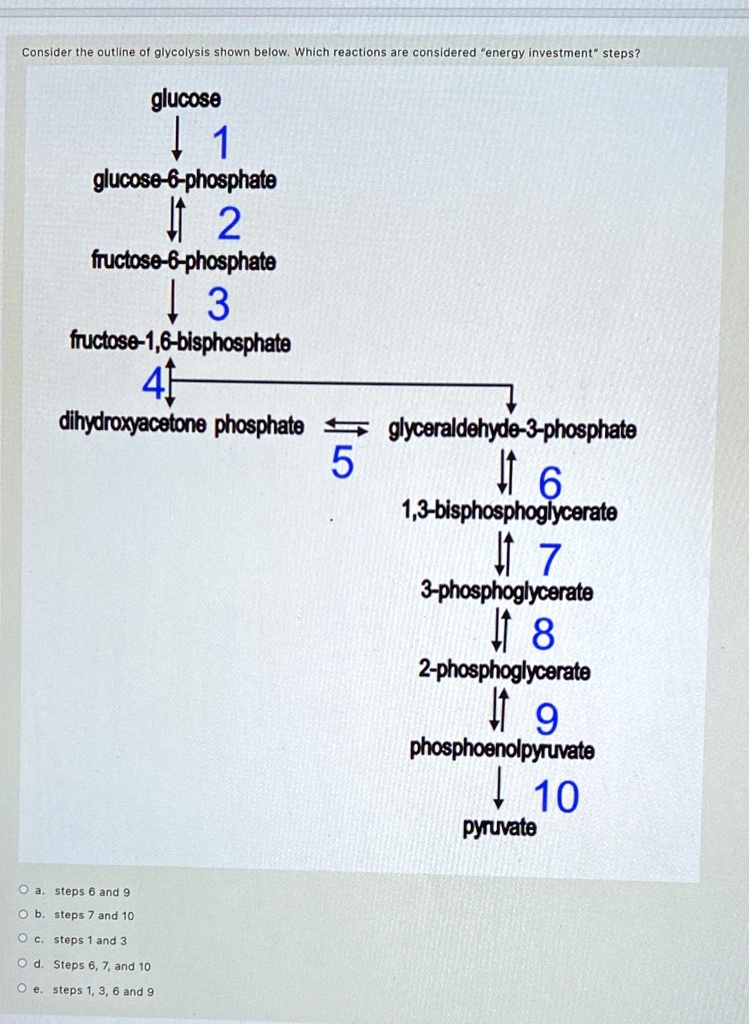 SOLVED: What is the correct answer to the multiple choice? Correct answer only needed ASAP ...