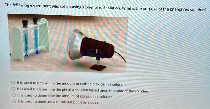 the following experiment was set up using phenol red solution what is ...