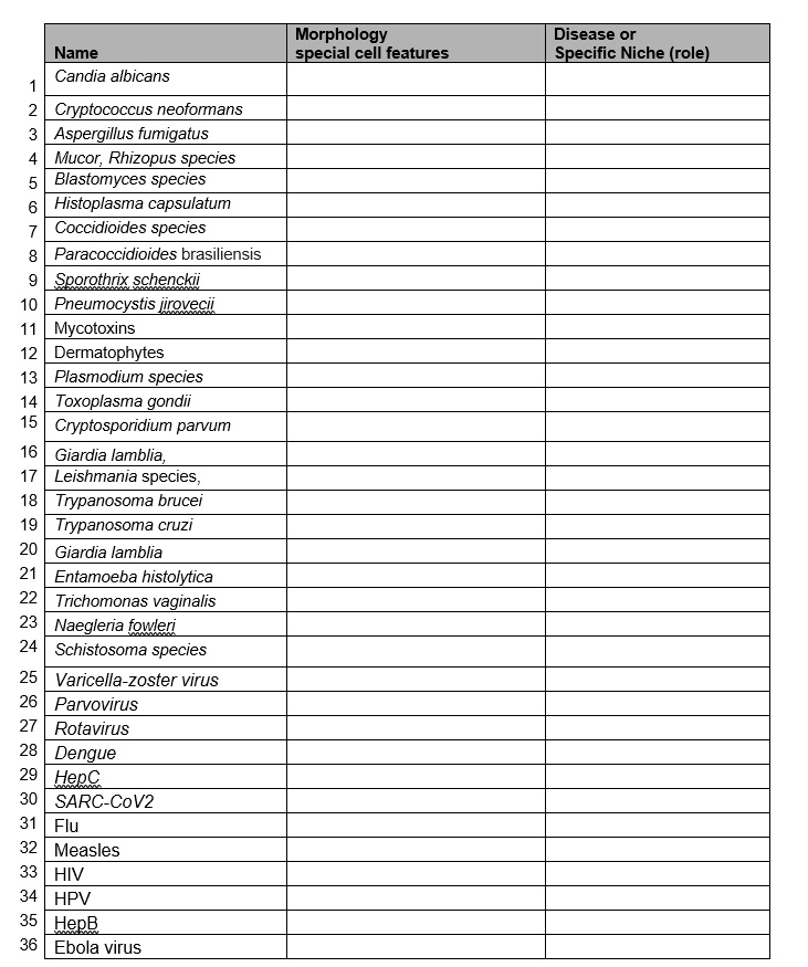 SOLVED: Please fill out the morphology, disease, and specific role that ...