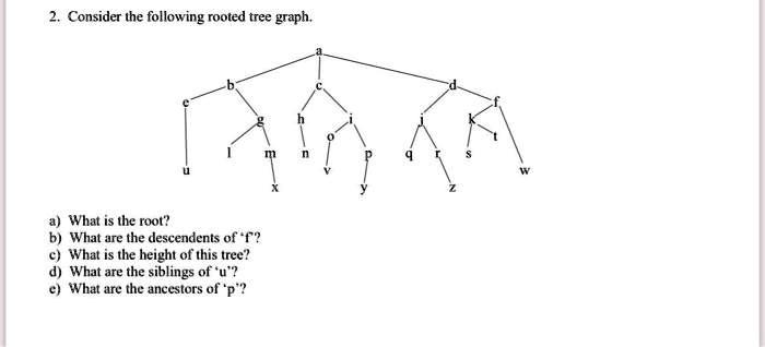 SOLVED:Consider the following rooted tree graph_ Whal IS Ihe To0t? What ...