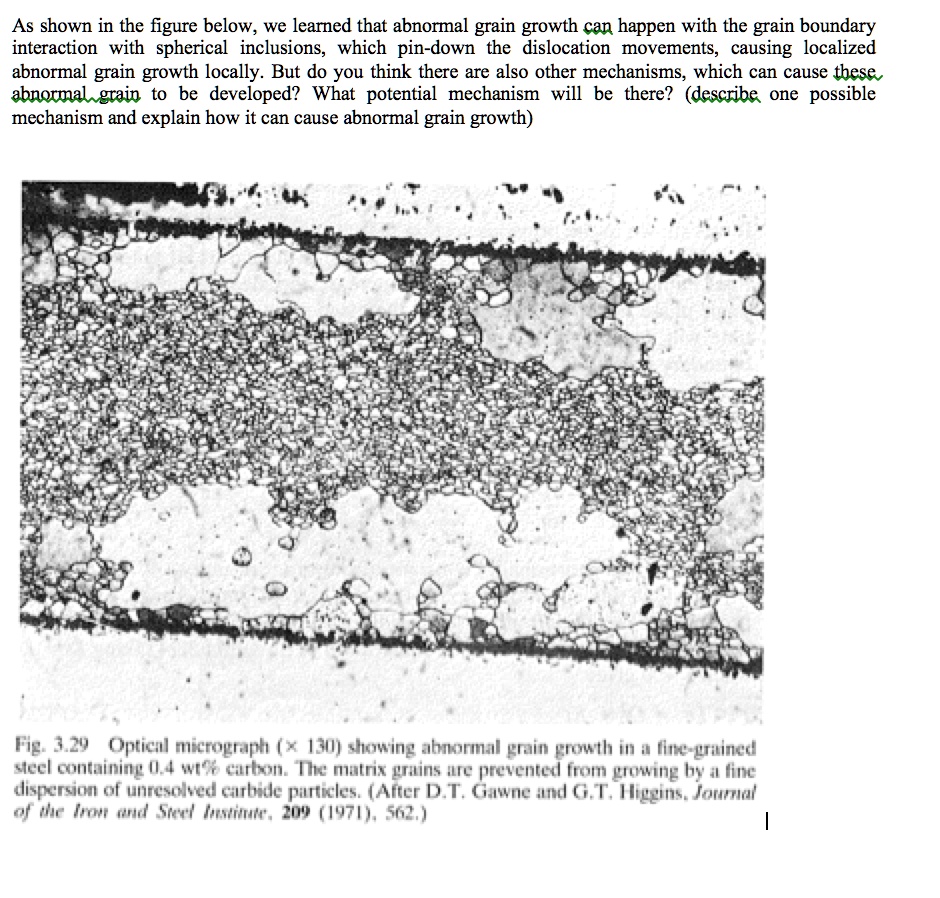 Solved As Shown In The Figure Below We Learned That Abnormal Grain