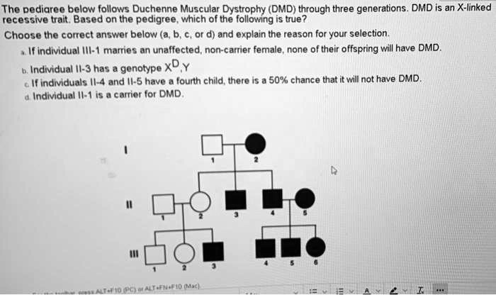 SOLVED: The pediaree below follows Duchenne Muscular Dystrophy (DMD ...